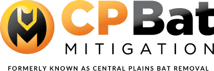 Sioux Falls SD Bat Control - Sioux Falls Bat Control | CP Bat Mitigation